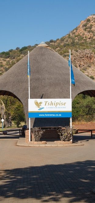 Home - Entomological Society of Southern Africa